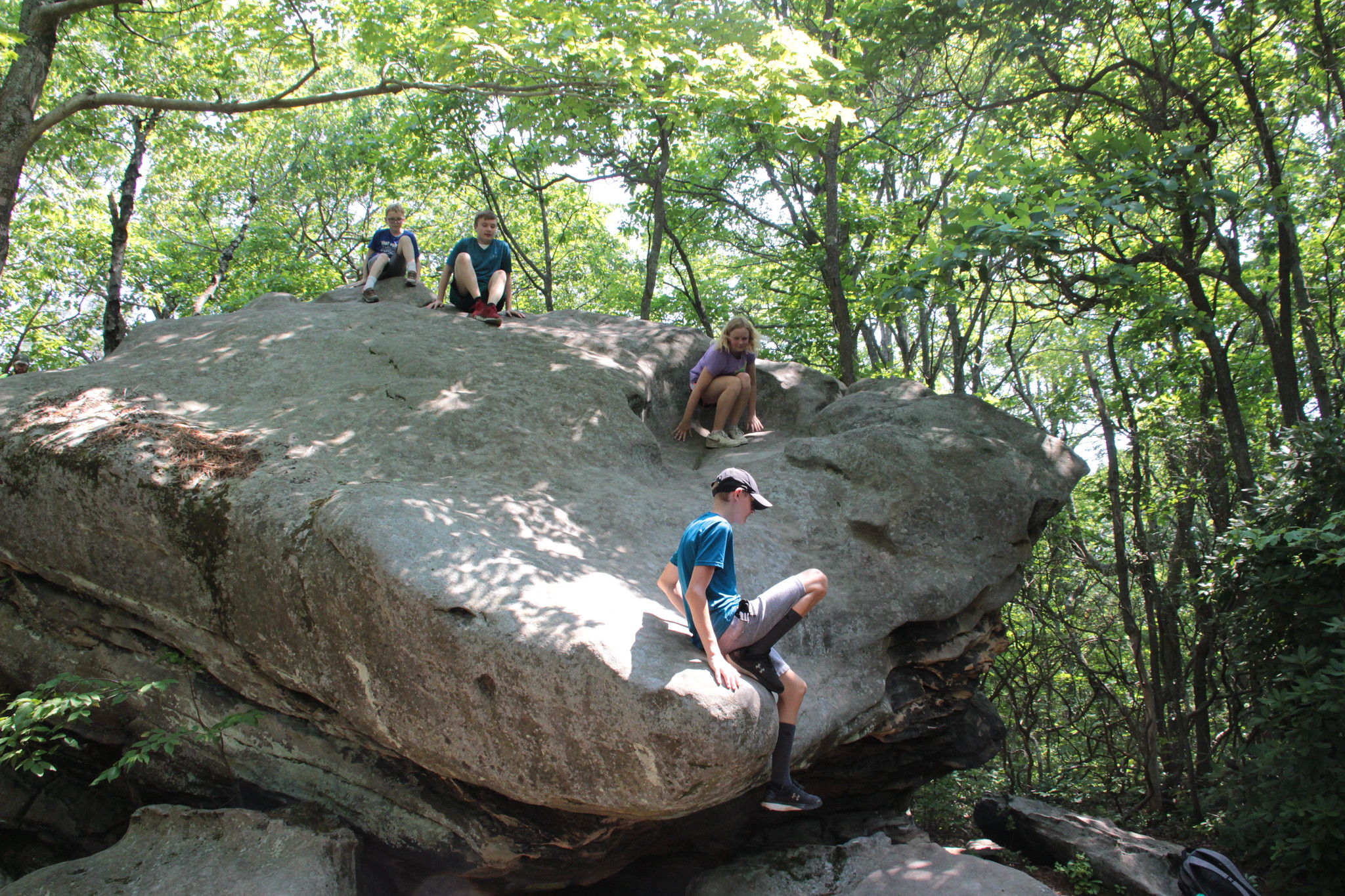 Both large and small, rocks litter our landscape | News, Sports, Jobs ...